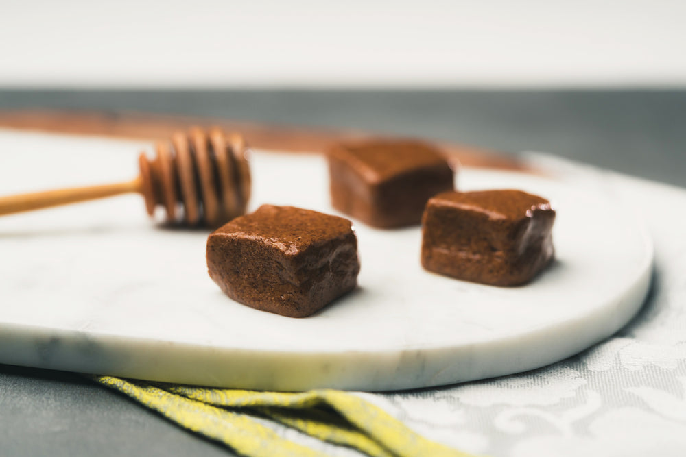 Fat Fudge - NutriBullet Australia